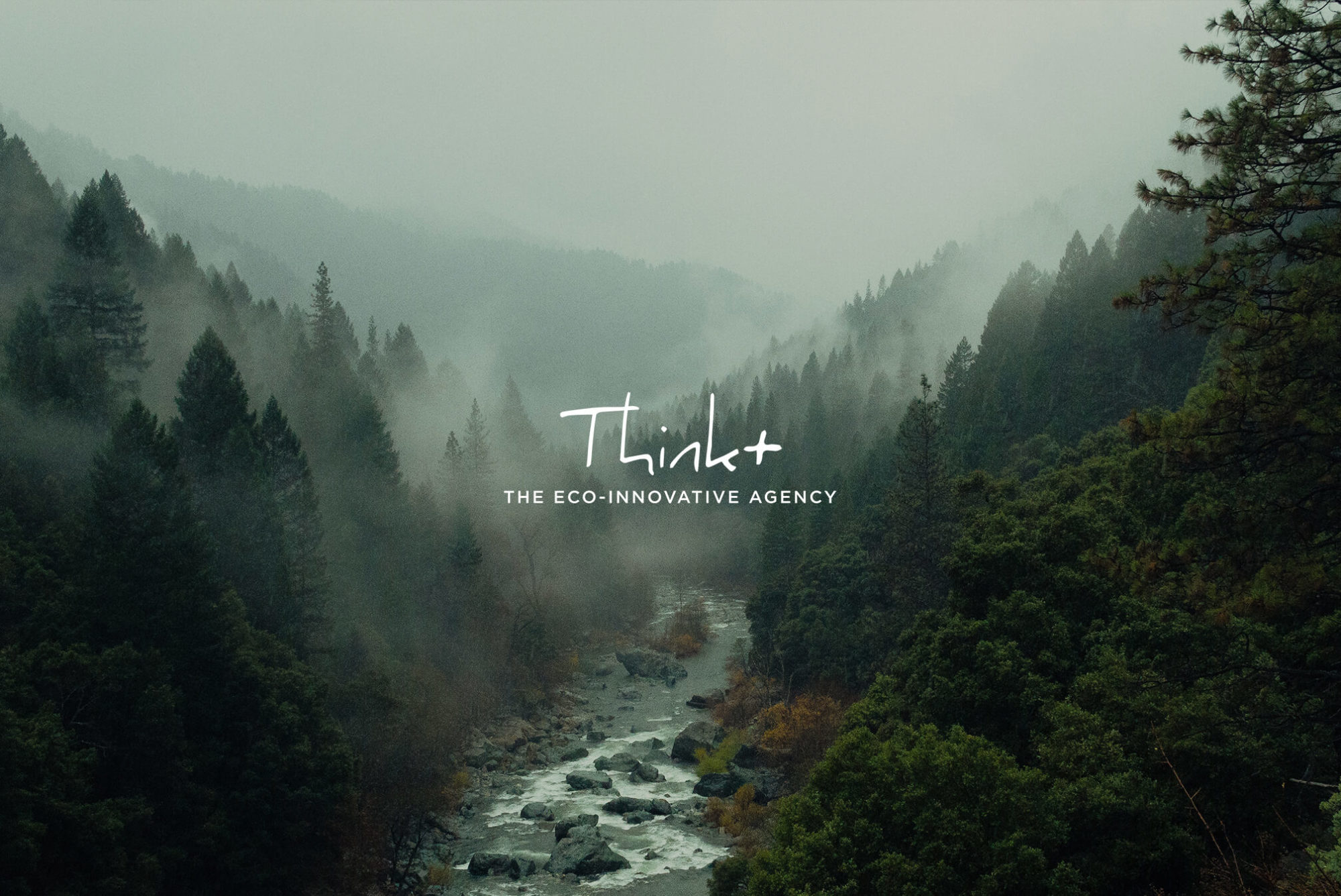 Think + — Blackballoon